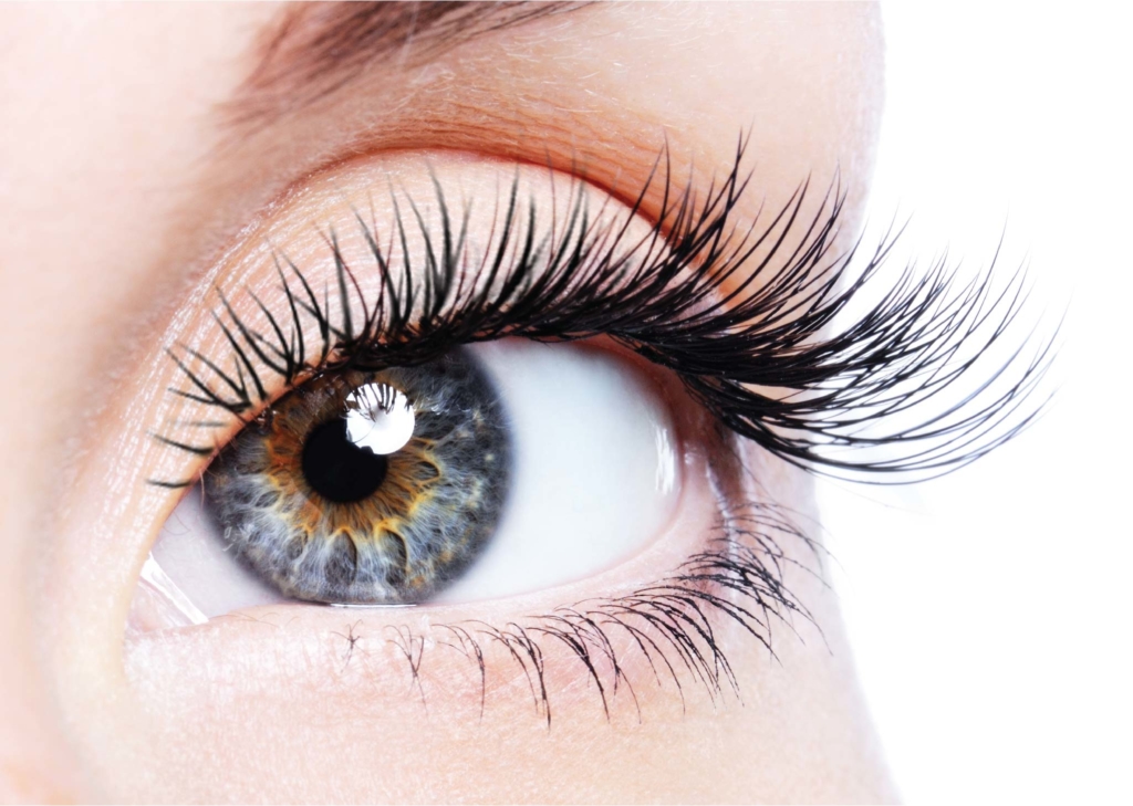 Luscious Lashes Can Be a Reality - Headline Studio